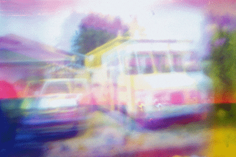 Multipinhole GIFs - Get the best GIF on GIPHY
