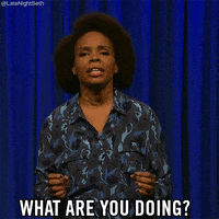 Wtf Are You Doing Gif