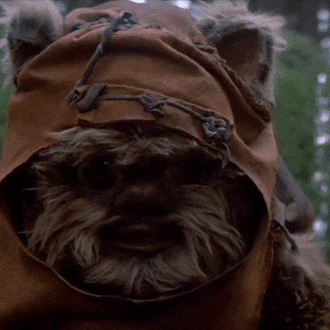Star-wars-ewok GIFs - Get the best GIF on GIPHY