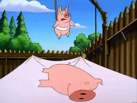 Phoebe Takes the Fall & The Pig War GIFs on GIPHY - Be Animated