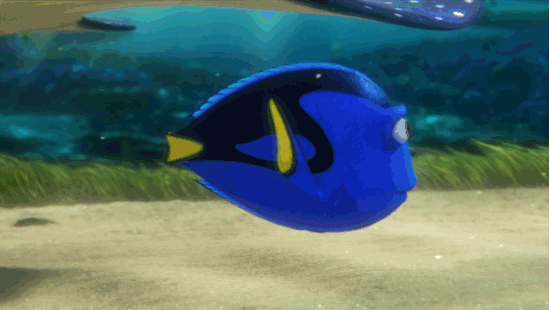 Finding Dory Disney GIF by Disney/Pixar's Finding Dory - Find & Share ...