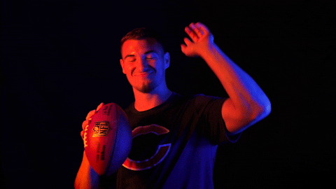 Bears Still Suck GIFs - Get the best GIF on GIPHY