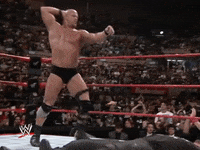 Stone Cold Stunner The Rock Gif