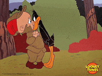 Daffy Duck Shot Gif
