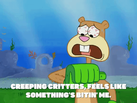 Im-dome GIFs - Get the best GIF on GIPHY