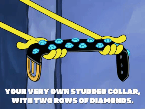 Studded Collar GIFs - Get the best GIF on GIPHY