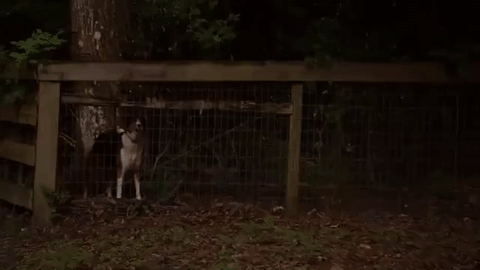 Frameworks GIF by Topshelf Records - Find & Share on GIPHY