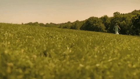 Braid GIF by Topshelf Records - Find & Share on GIPHY
