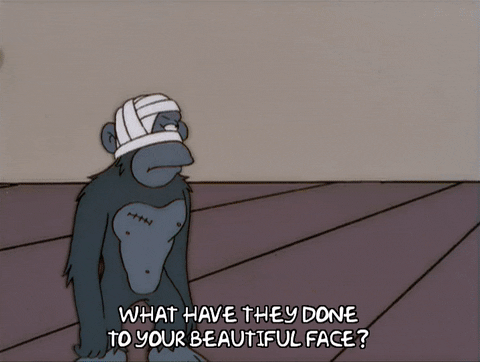 Furious George GIFs - Get the best GIF on GIPHY