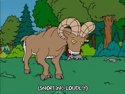 Angry Ram GIFs - Get the best GIF on GIPHY