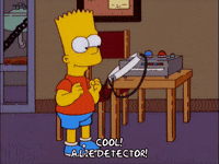 Maury Lie Detector Gif