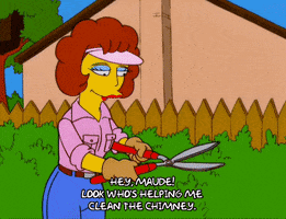 Homer Simpson Hedge GIFs - Find & Share on GIPHY