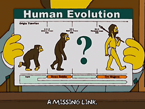 Human-evolution GIFs - Get the best GIF on GIPHY
