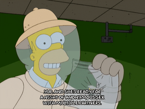 Bug-partner GIFs - Get the best GIF on GIPHY