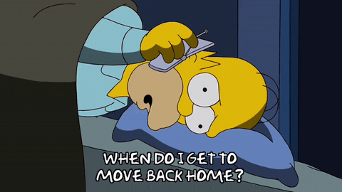 Move-back-home GIFs - Get the best GIF on GIPHY