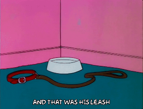 Leashes GIFs - Get the best GIF on GIPHY