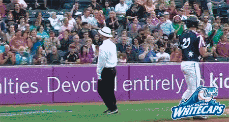 Grand Rapids Baseball GIF by West Michigan Whitecaps - Find & Share on ...