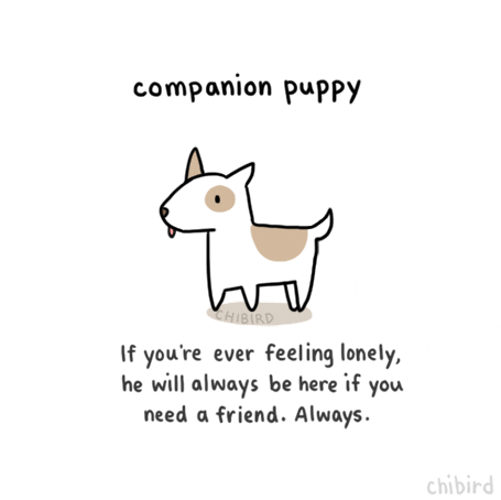 Companions GIFs - Get the best GIF on GIPHY