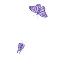 Animated Flying Butterfly Gif