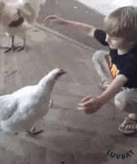 Funny Love Gif