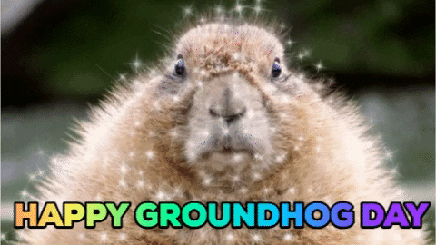 Groundhog Day GIF by Justin - Find & Share on GIPHY