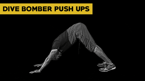 Dive Bomber Push Ups GIFs - Get the best GIF on GIPHY