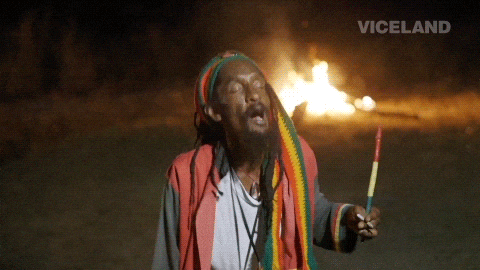 Jamaican Daggering Gif