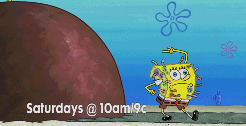 GIF by SpongeBob SquarePants - Find & Share on GIPHY
