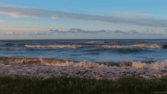 Perfect Loop GIF by Living Stills - Find & Share on GIPHY