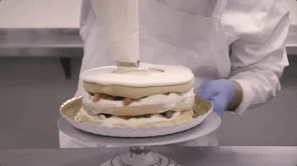 Worth It $27 Cake Vs. $1 GIF by BuzzFeed - Find & Share on GIPHY