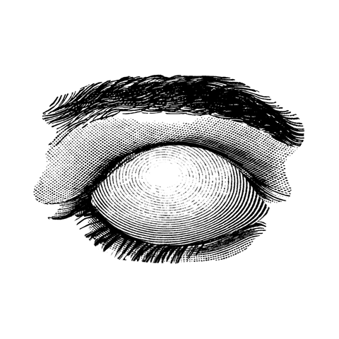 Exclusion Blend Mode GIFs - Find & Share on GIPHY