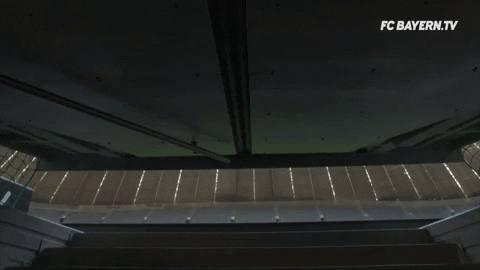 Allianz Arena Stadium GIF by FC Bayern Munich - Find & Share on GIPHY