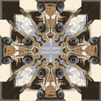 Counter Clockwise Gif