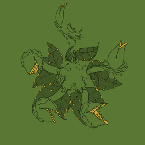 Green Wreath GIFs - Get the best GIF on GIPHY