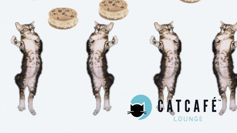 Cafe Lounge GIFs - Get the best GIF on GIPHY