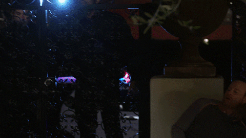 Hiding From Cops GIFs - Get the best GIF on GIPHY