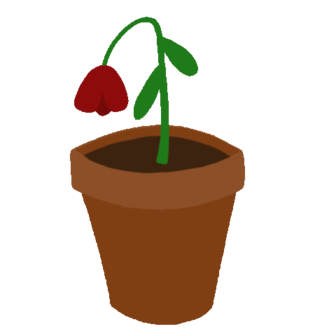 Wilting Flower Gif Transparent