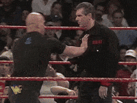 Stone Cold Stunner Gif