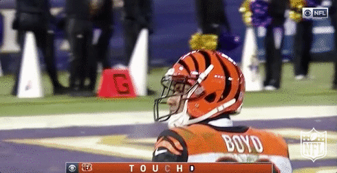 Cincinnati Bengals Football GIF by NFL - Find & Share on GIPHY