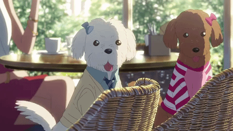 Your Name Anime GIFs - Get the best GIF on GIPHY