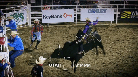 Second Rodeo GIFs - Get the best GIF on GIPHY