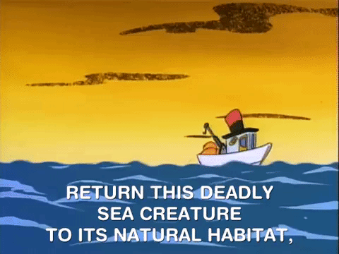 A-return-to-the-sea GIFs - Get the best GIF on GIPHY