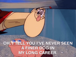 Big Baby Scam & Dog Show GIFs on GIPHY - Be Animated