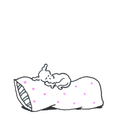 Good Night Sleeping GIF by Chippy the Dog - Find & Share on GIPHY