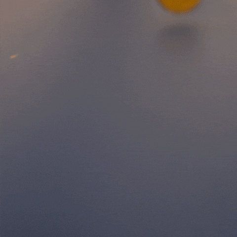 Gelt-drop GIFs - Get the best GIF on GIPHY