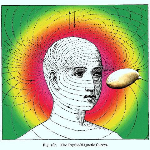 - Find & Share on GIPHY