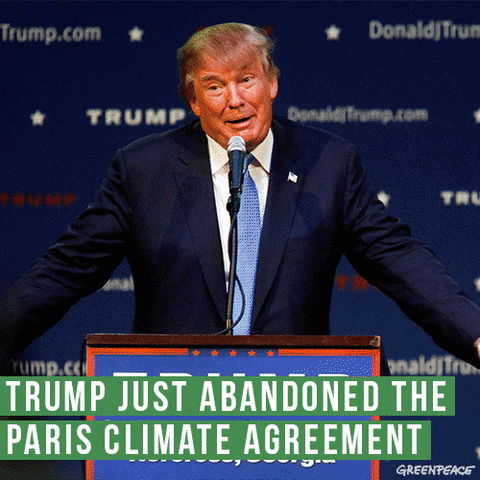 Climate Agreement GIFs - Get the best GIF on GIPHY