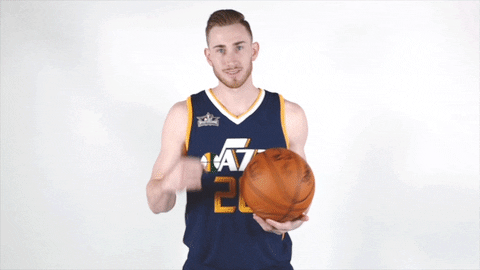 Gordon Hayward GIFs - Get the best GIF on GIPHY