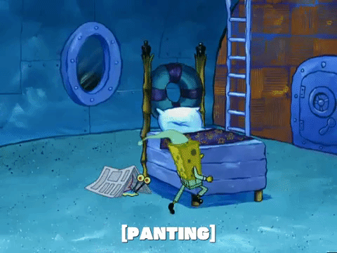 Season 5 New Digs Gif By Spongebob Squarepants Find Share On Giphy