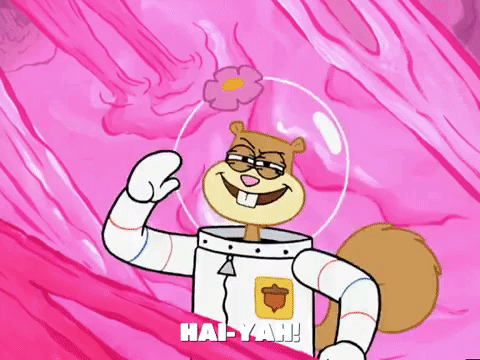 Sandy Cheeks Funny Face